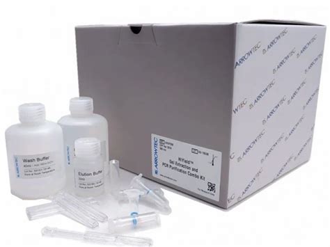 Ae Pcr And Dna Fragment Purification Kit At ₹ 7000kit In Thane Id