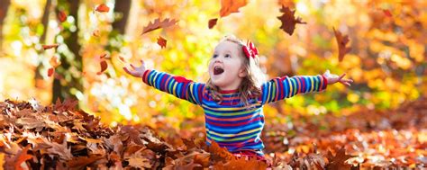October Begins The Best 3 Months Of The Year Banyan Hill Publishing