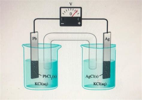 Solved Predict The Anode And Cathode Half Reactions For The