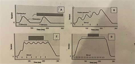 Ch 9 Match Each Myogram Tracing To The Type Of Response Showed According To Frequency Of