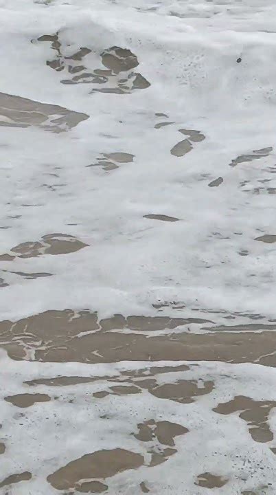 26 November 2024 Youtube