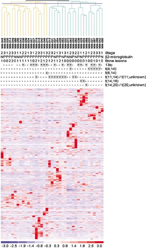 unsupervised analysis of gene expression profiles from purified cd138 þ