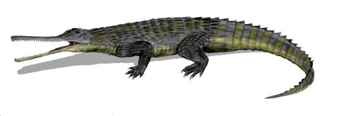 Phytosaur