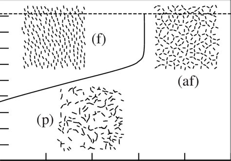 Phase Diagram For Positionally Disordered Cells At Low Cell Density