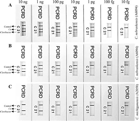 Limit Of Detection Determination Of Multiplex Rpa Assays Developed For