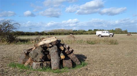Impact Mitigation Services Thomson Environmental Consultants Impact Mitigation Services Thomson Environmental Consultants