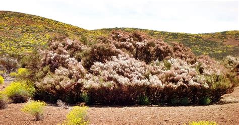 Aprender A Programar Con Python Tuplas