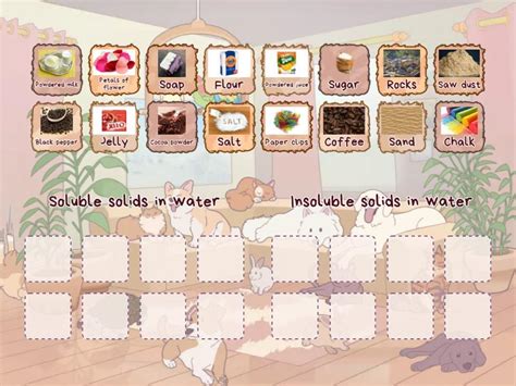 Soluble And Insoluble Solids In Water Group Sort
