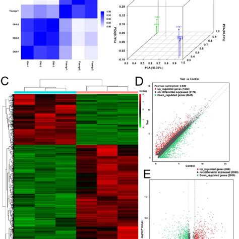 Gene Expression Analysis Of Mscs From Young And Old Rats A Pearson