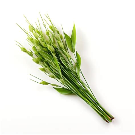 Premium Photo Summer Switchgrass Lime Green Small Tied Bouquet