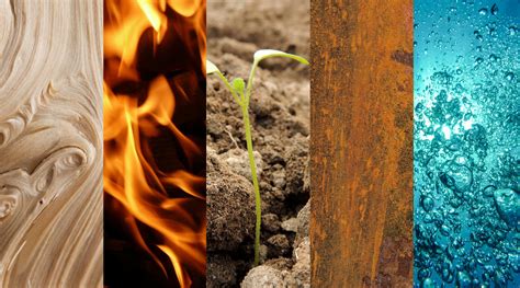 The Window Of The Five Elements Pacific Essences