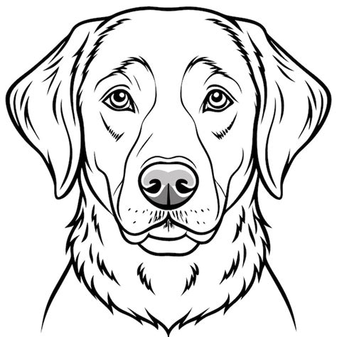 3000 Front View Outline Drawing Dog Pictures