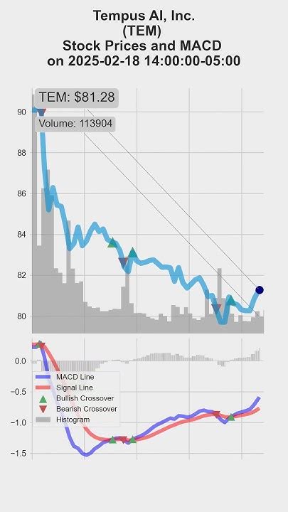 Tem Tempus Ai Inc 20250218 19 Stock Prices And Macd Indicators Macd Tem Youtube