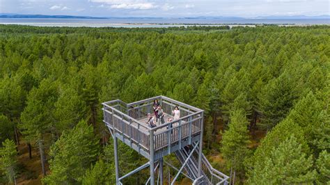 Culbin Forest Walk Discover The Hill 99 Trail And Viewpoint Tower