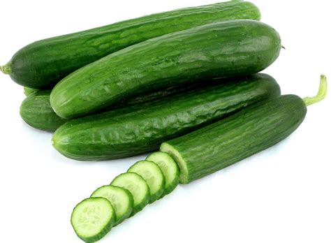 Persian Cucumber Keto Friendly At Melinda Morris Blog