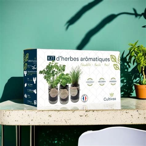 Offrez Le Kit Prêt à Pousser Dherbes Aromatiques Jardin Dintérieur