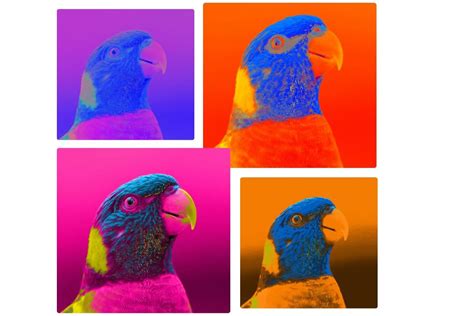 Add Thermal Filter To Photos With Thermal Art Creator Fotor