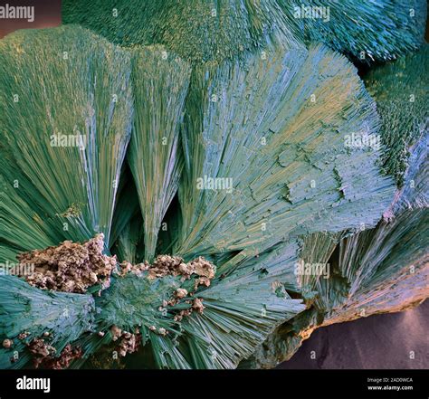 Malachite Crystals Coloured Scanning Electron Micrograph Sem This