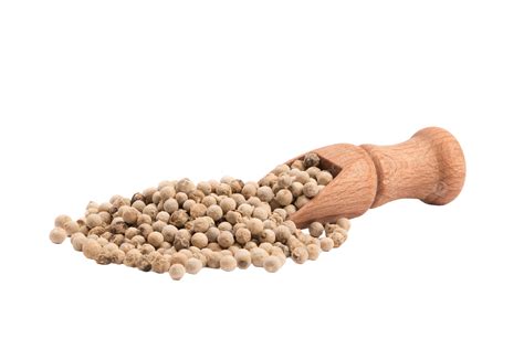 White Pepper Corns On A White Background Circle Cookery Stack Herb