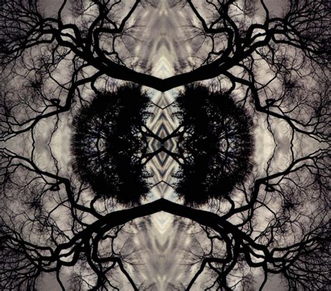 Sonic Mandala Go Organic Orchestra Adam Rudolph Innersleeve