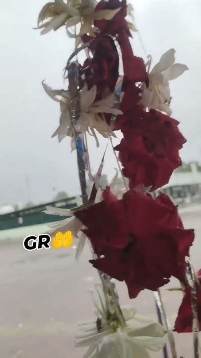 रिमझिम रिमझिम🤲 रहमत 🌧बरसे 👑ख्वाजा😭 पिया तेरे आंगन में Youtube