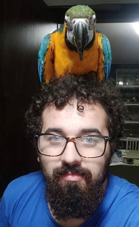 Vi Presentiamo La Nostra Mascotte Arty