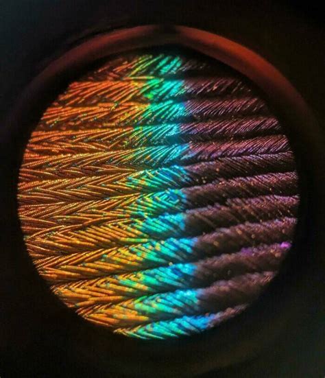 Usual Objects Under The Microscope Others