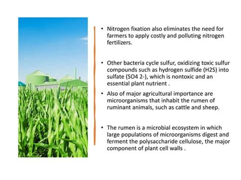 Structure Of Prokaryotes Pptx Pptx Genetics Science
