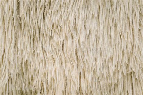 Natural Fluffy Fur Sheep Wool Skin Texture Sheepskin Background Stock