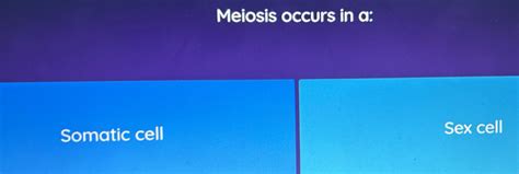 Solved Meiosis Occurs In A Somatic Cell Sex Cell [biology]