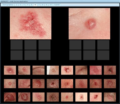 2 web interface developed to collect similarity assessment data