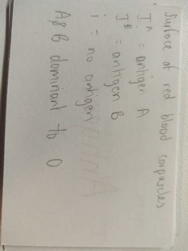 Genetics Flashcards Quizlet