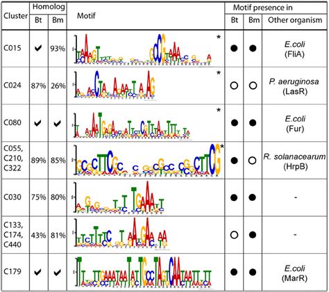 Discovery Of Cis Regulatory Motifs Motifs Were Identified By