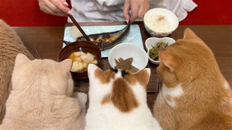 Six Pm Six Pm Added A New Photo — At Sixpmthailand