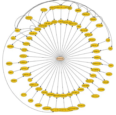 Phenotype Centered Network Provided By Bayesian Networks Algorithm