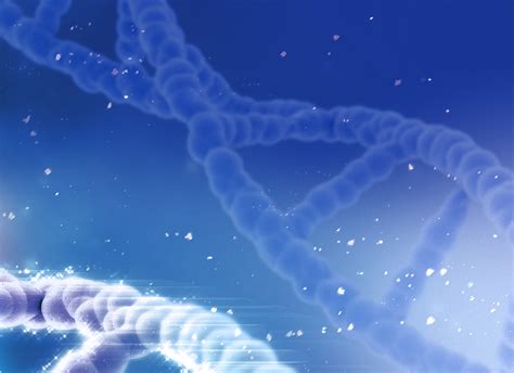 Transposable Element Expression At Unique Loci In Single Cells With Cello Seq