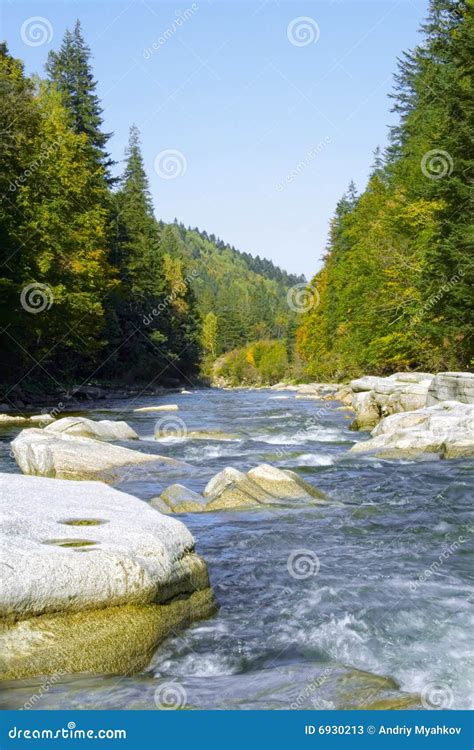 Spring River Stock Image Image Of Morning Forest British 6930213
