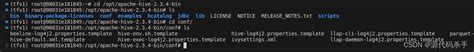 Docker容器嵌入式开发：在ubuntu上配置hiveubuntu Hive Csdn博客