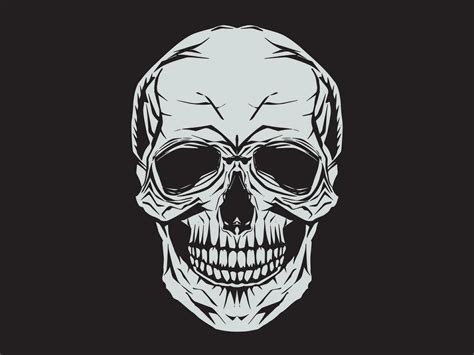 Vintage Illustration Of Skull On Black Background 33107344 Vector Art