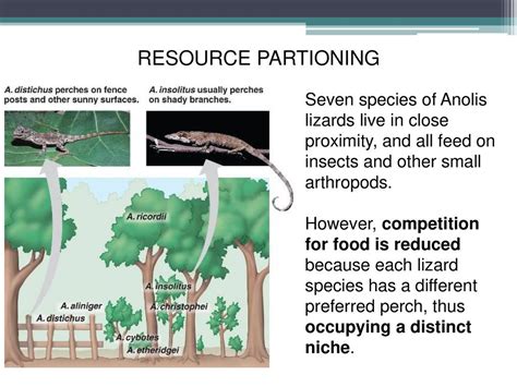 Chapter 54 Community Ecology Ppt Download