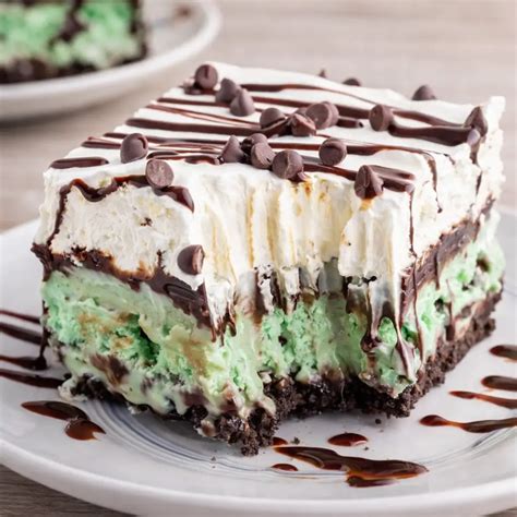 Mint Chocolate Chip Ice Cream Cake Easy 5 Star No Bake Favorite