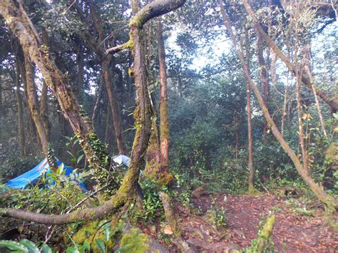 Gunung Yong Belar Gunung Bagging