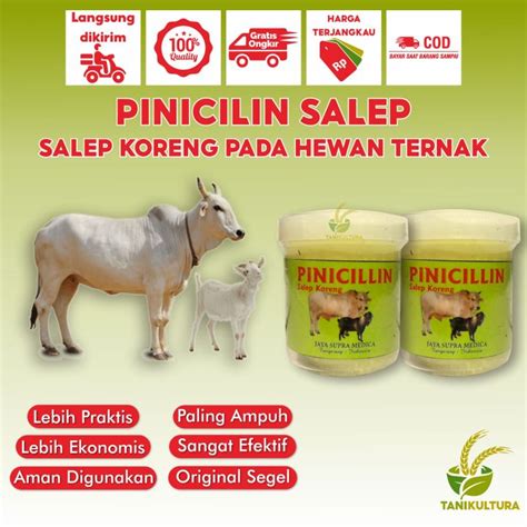 Saleb Koreng Sapi Scabies Kudik Eksim Salep Gatal Gatal Pinicilin