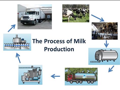 Dairy Milk Production Process At Marcus Best Blog