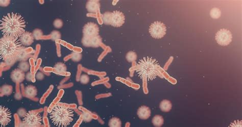 Making The Case For Antimicrobial Packaging Films Time To Get More Active Techmer Pm