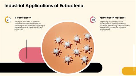 Industrial Applications Of Eubacteria Kingdom Eubacteria Ppt Structure