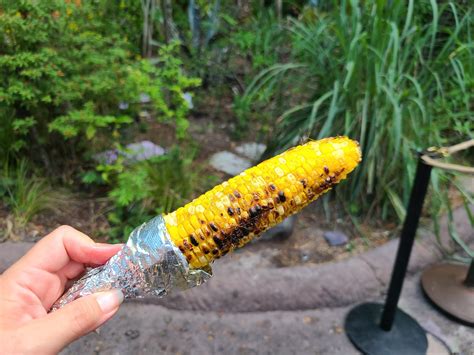 Harambe Fruit Market Overview Disneys Animal Kingdom Dining Dvc Shop