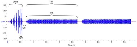 Each Phrase Consists Of A Single Amplitude Modulated Chirp Followed