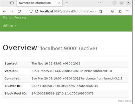 【大数据存储】实验1 hadoop伪分布式安装 hadoop伪分布式安装实验 csdn博客