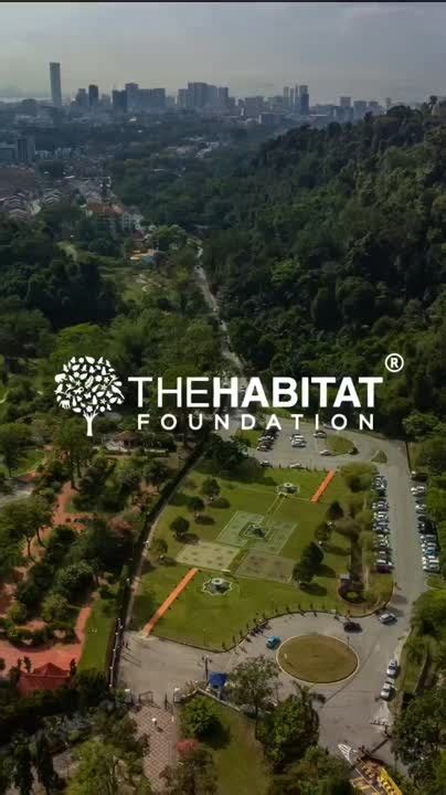 Sharedfutureforall Sustainableliving Conservationmalaysia… Christina Lind Hunter